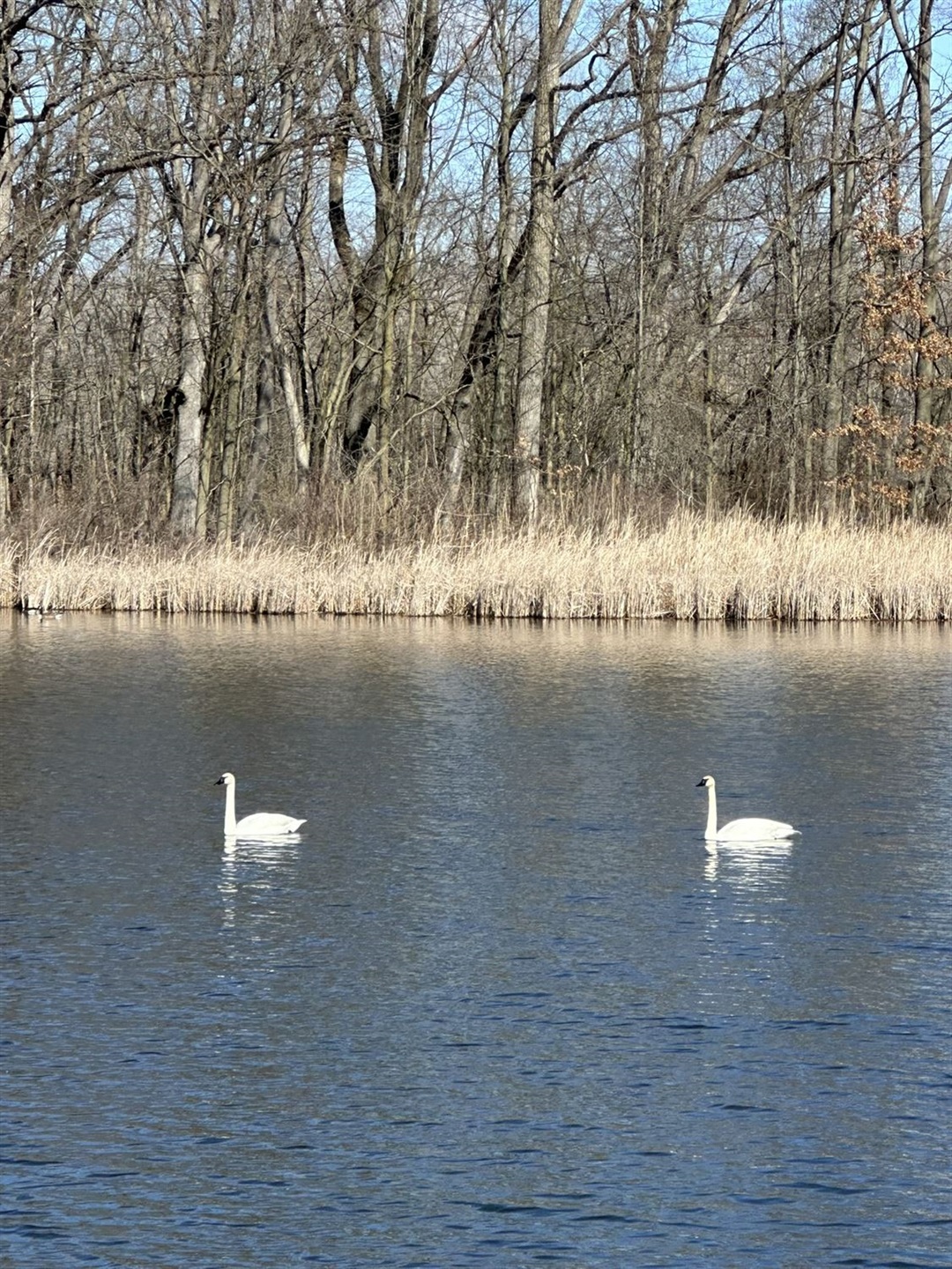 Spring Equinox Hike - Wayne County, Michigan