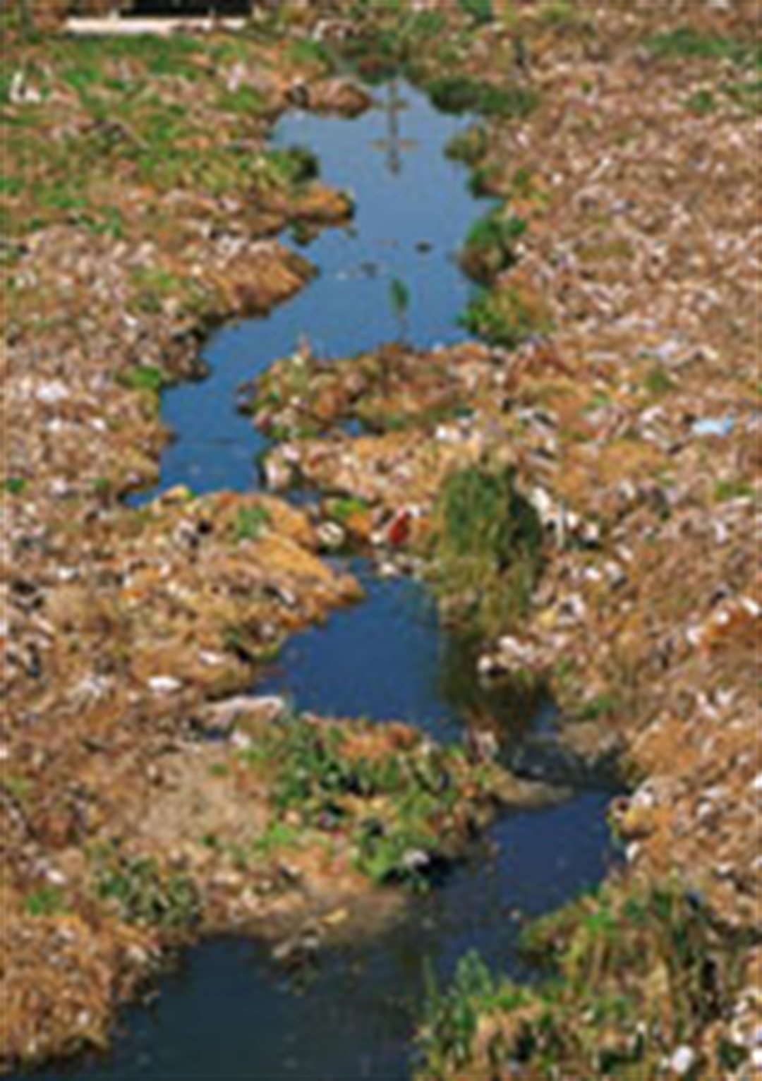 Pollution Prevention - Wayne County, Michigan