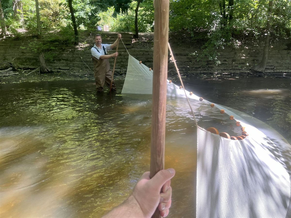 Netting Up Fun - Wayne County, Michigan